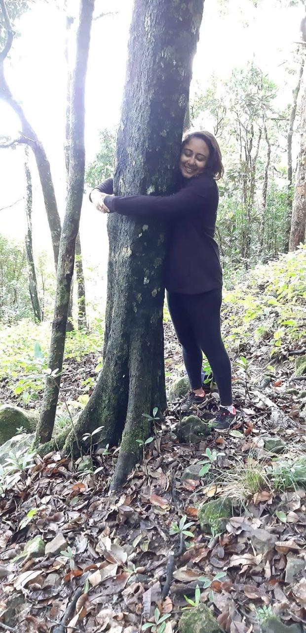A tree hug – TreeLog